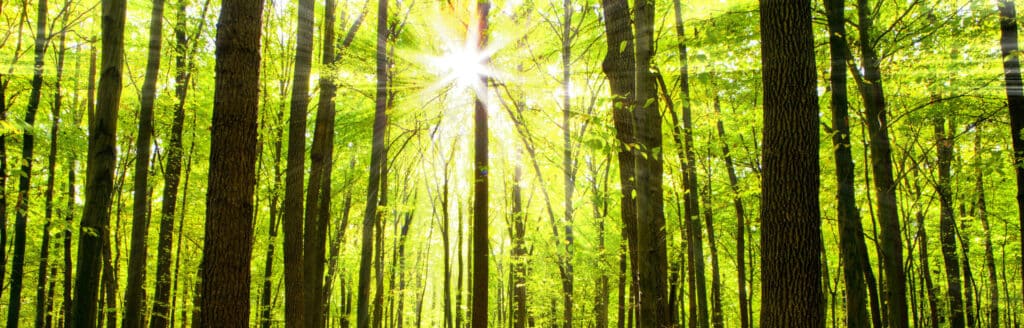ESCO - Green Energy 360 - Proudly Serving the Washington Metro Area ...